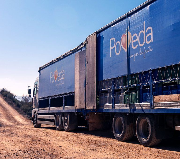 Calidad | Frutas Poveda